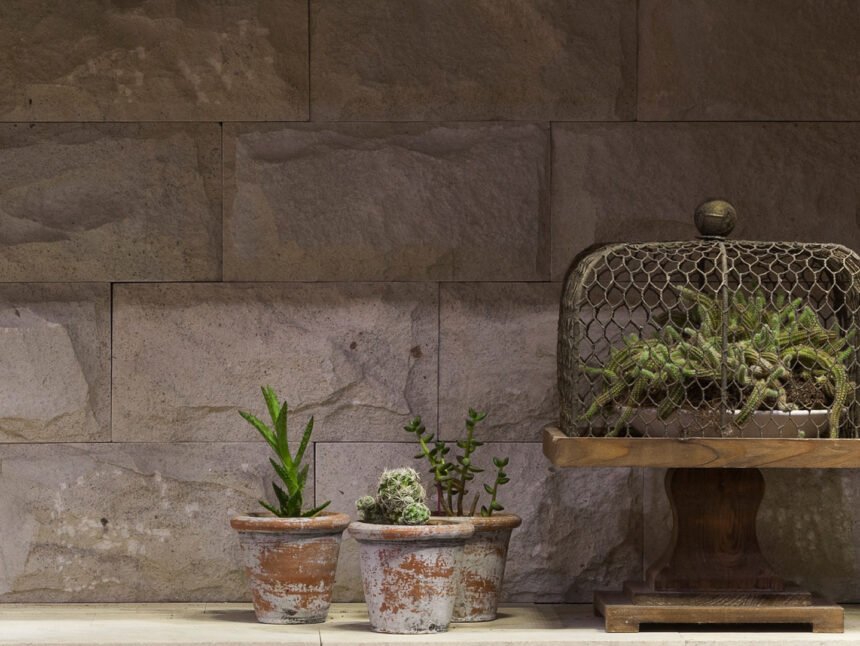 Home - Elevare Acabamentos